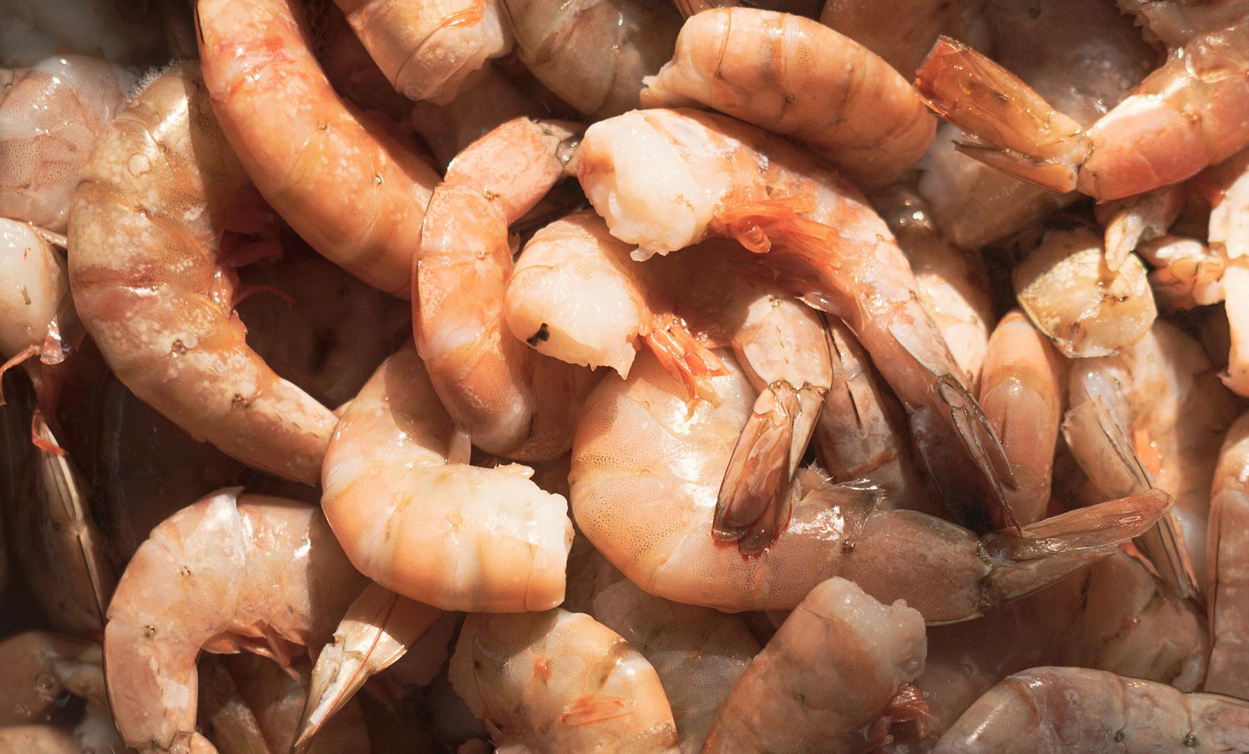 Captain Jim's Pigeon Forge Restaurant Seafood Buffet MenuCaptain Jim's ...